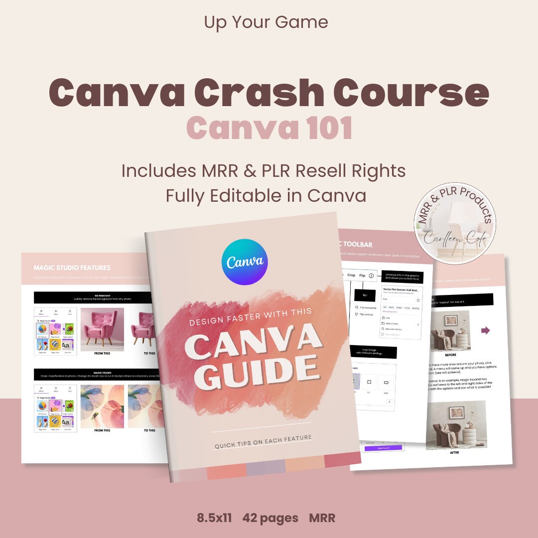 DFY Canva Crash Course Guide PLR Done for You Canva Template Guide ...