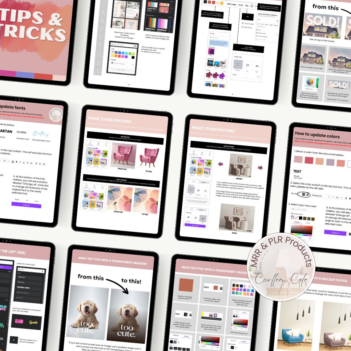 DFY Canva Crash Course Guide PLR Done for You Canva Template Guide ...