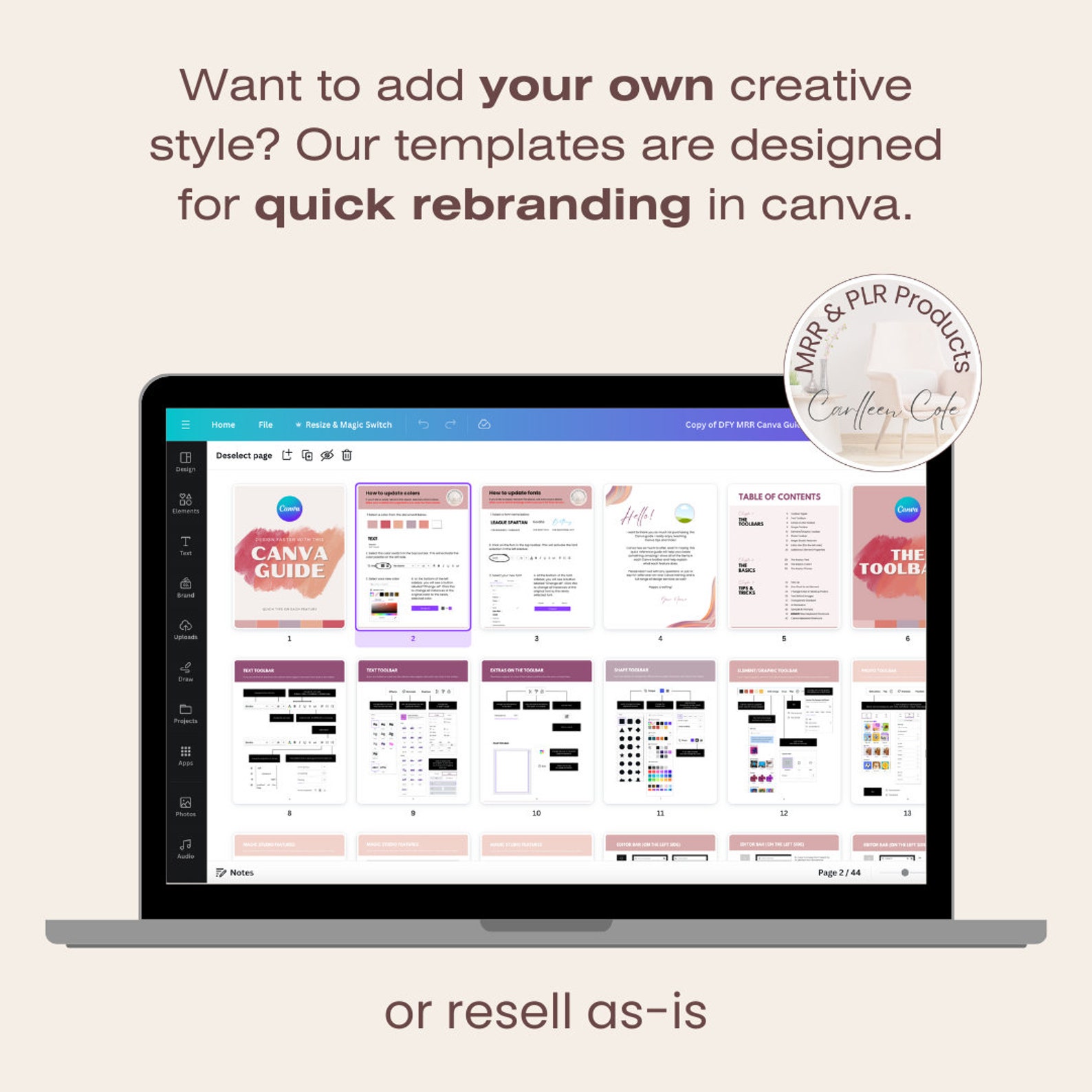 DFY Canva Crash Course Guide PLR Done for You Canva Template Guide ...