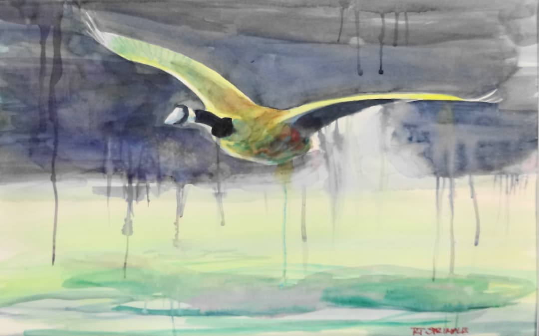 Goose Study 2 - Etsy