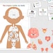Body Organs Matching Activity, Human Body Activity, Childrens ...