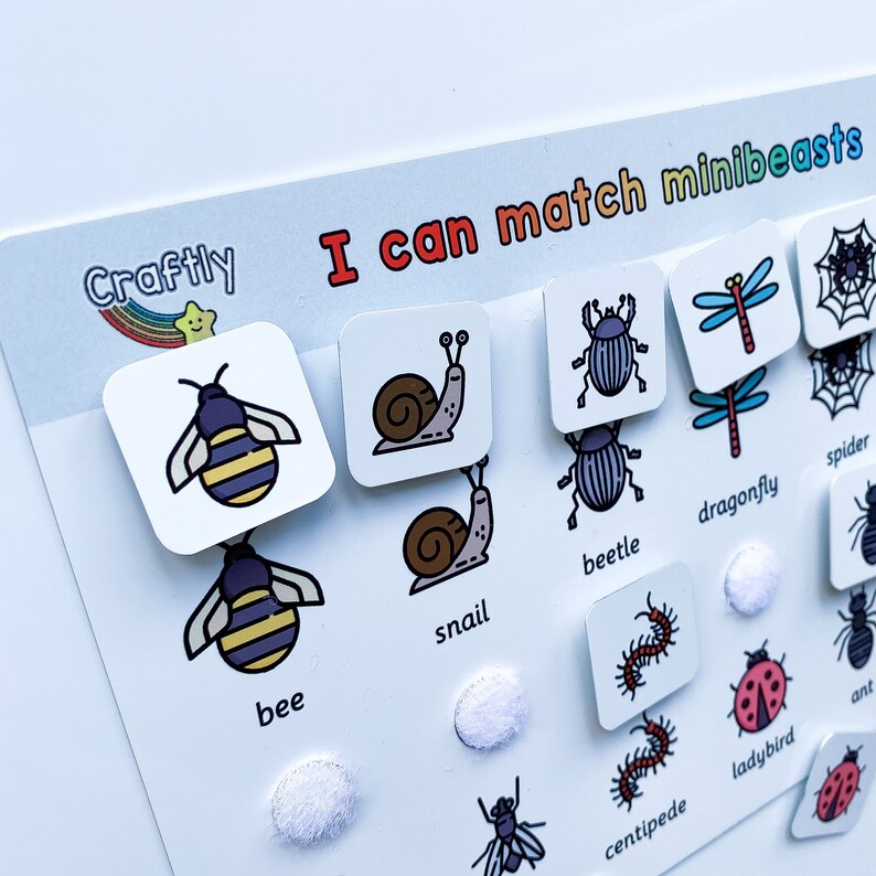 Minibeasts Matching Game: Insect Activity, Toddler Learning - Etsy
