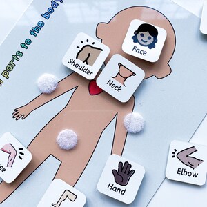 Body Parts Matching Activity, Preschool Kindergarten Educational ...