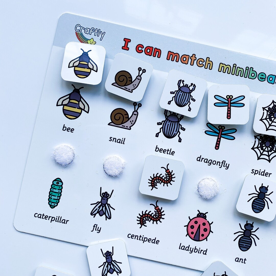 Learning Minibeasts Activity Children, Insects Creepy Crawlies ...