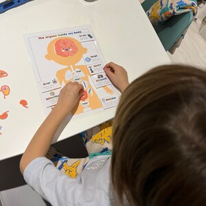 Body Organs Matching Activity, Human Body Activity, Childrens ...