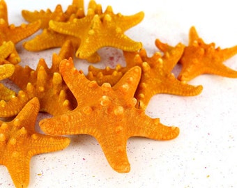 Orange starfish | Etsy