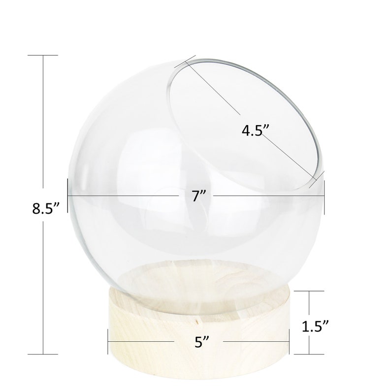 Slant Cut Clear Glass Bowl With Wood Base H 85 Body Etsy