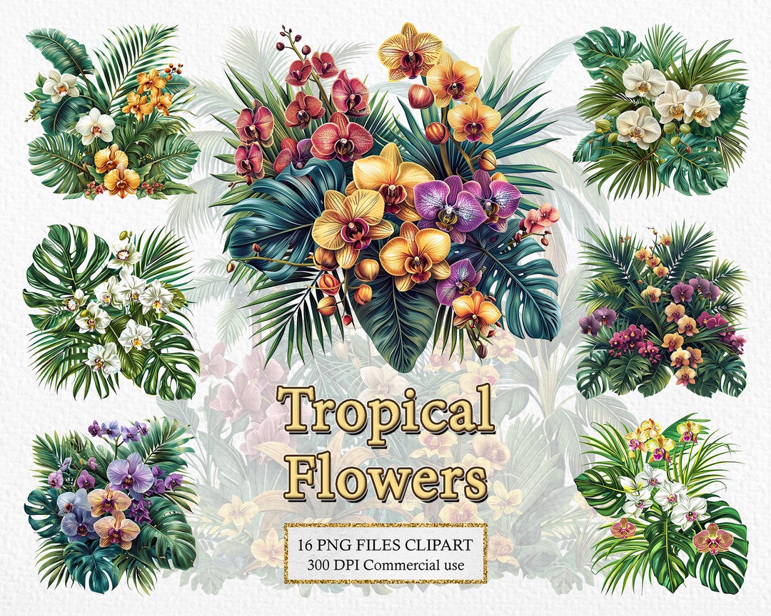 Digital Download PNG Clipart 16 Watercolor TROPICAL FLOWERS Cut Files ...