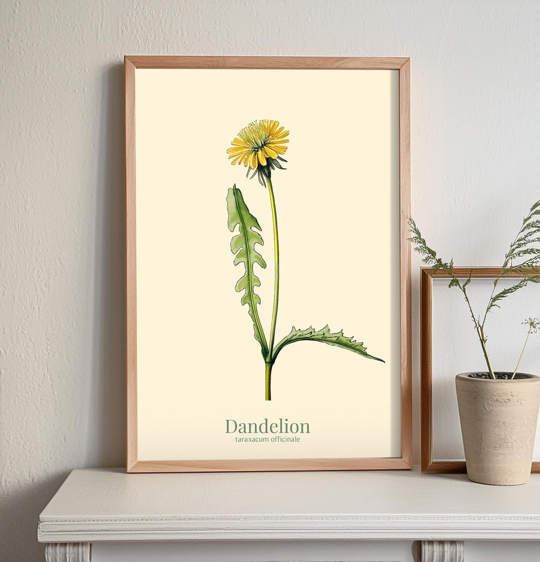 Dandelion Wild Herbs Poster Botanical Print Decor Wall Art Botanical ...