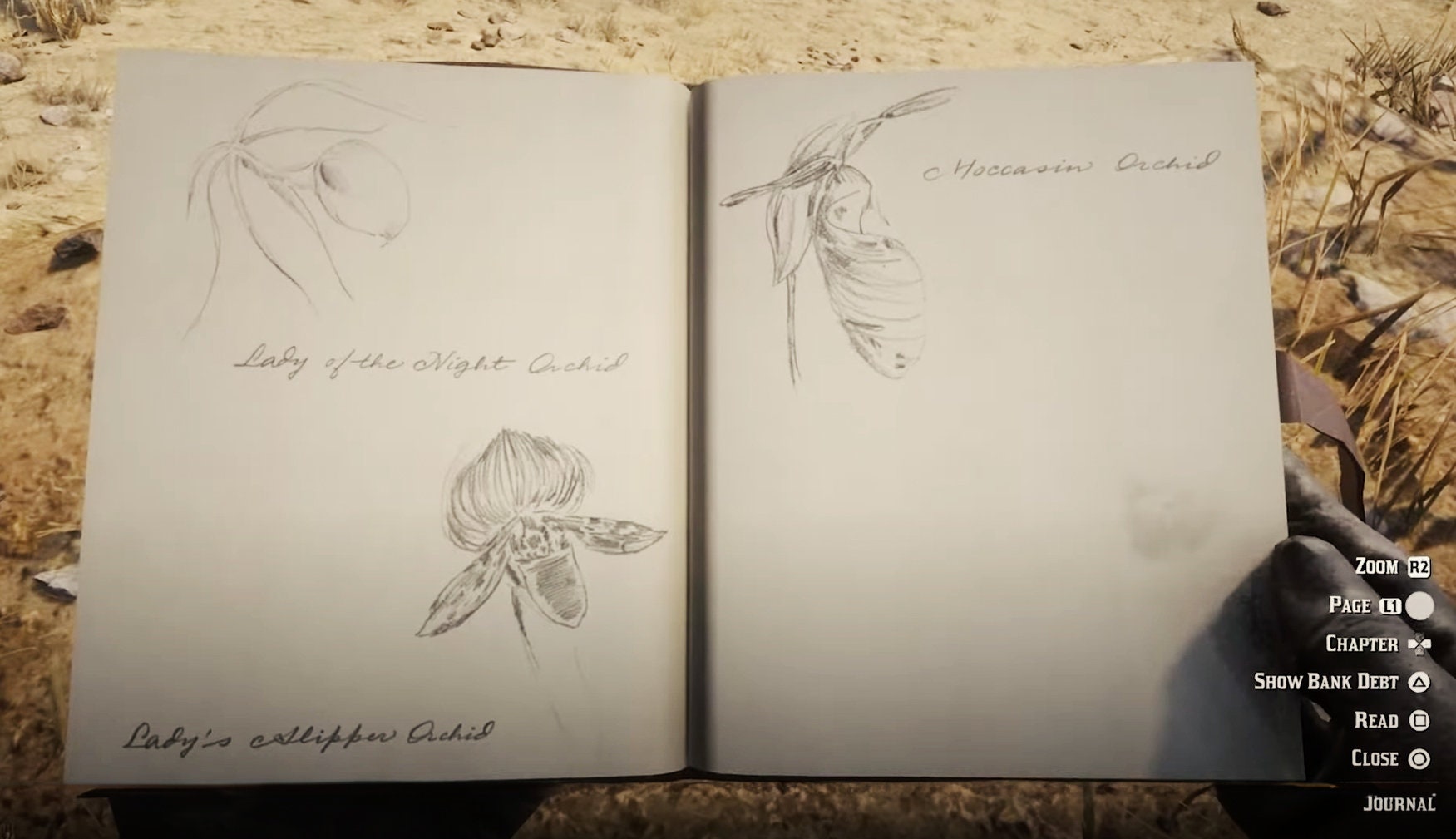 Red Dead Redemption 2 Vintage Poster Arthur Morgan Orchid Journal ...