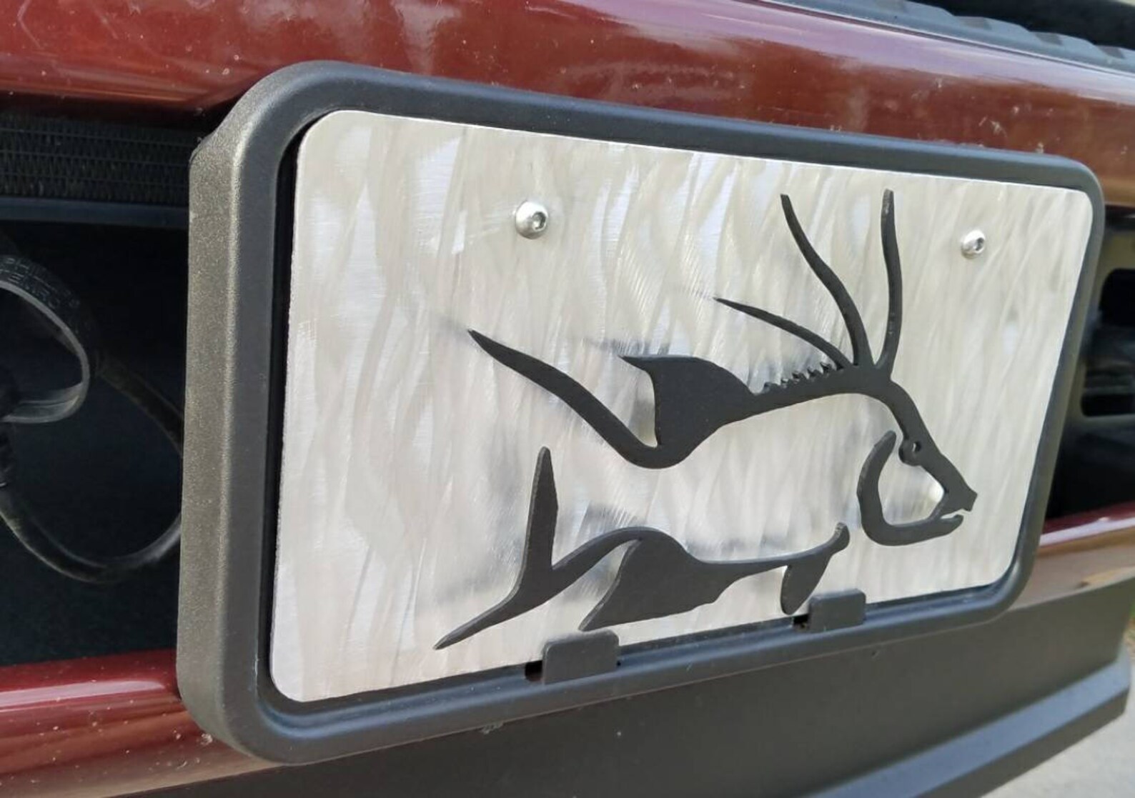 Hogfish Front License Plate License Plate Fishing Front Fish - Etsy