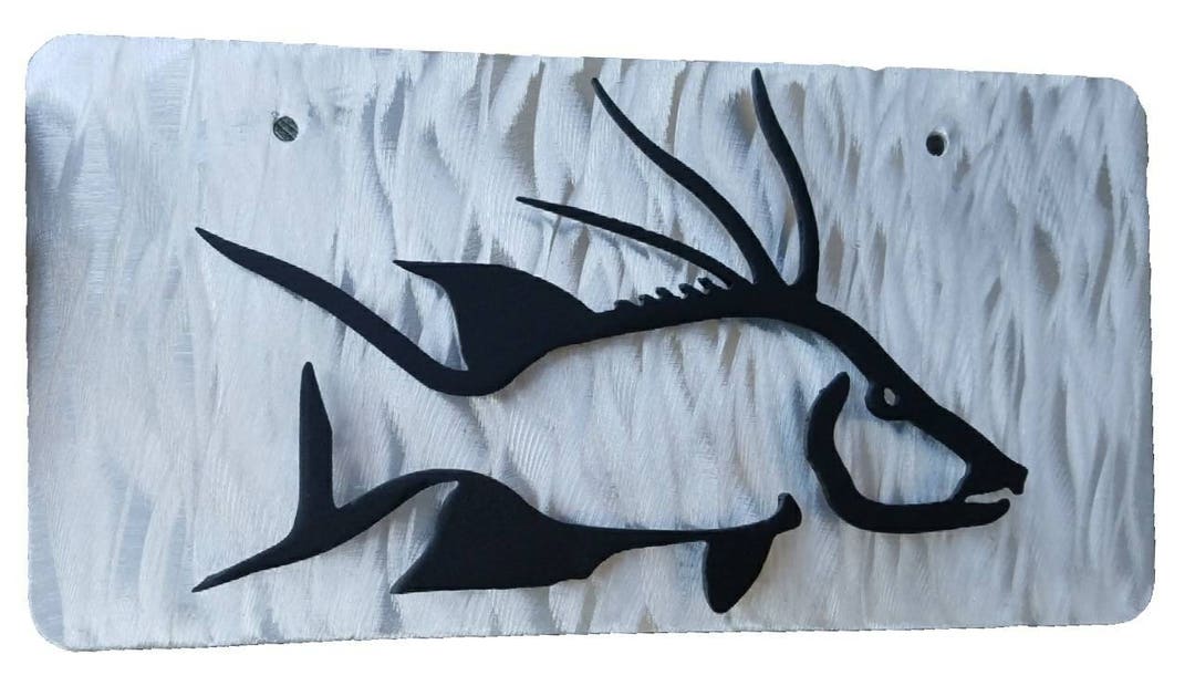 Hogfish Front License Plate, License Plate Fishing, Front Fish License ...