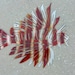 Handmade Aluminum Lionfish Wall Art, Tropical Metal Ocean Decor - Etsy
