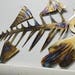 Snook Metal Wall Art, Snook Skeleton Art, Metal Fish Wall Art, Metal ...
