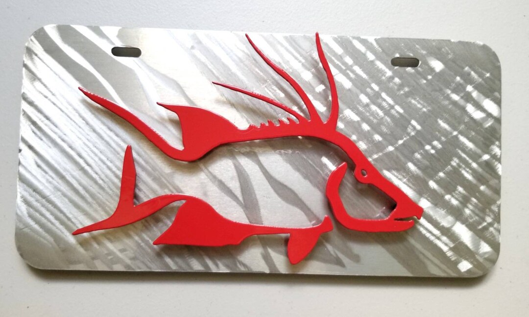 Red Hogfish Front License Plate, License Plate Fishing, Front Fish ...