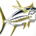 Tuna Skeleton Wall Art, Yellowfin Tuna Metal Art, Aluminum Tuna Decor ...