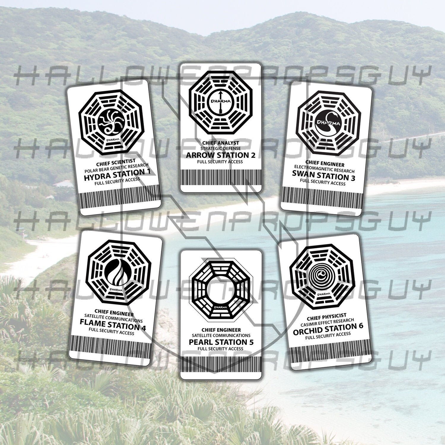 Satellite Access Card