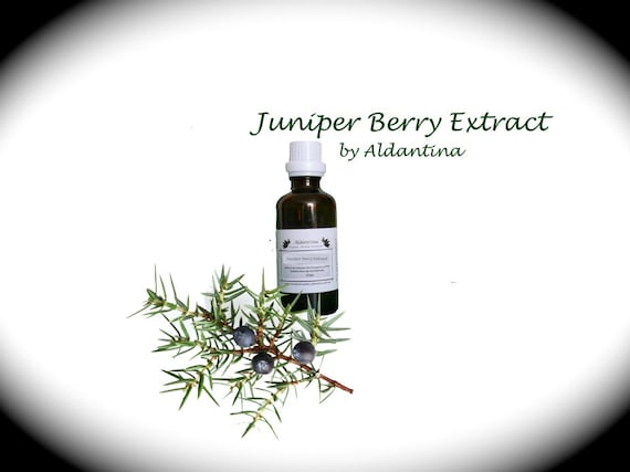 Organic Juniper Berry Herbal Tincture/Extract alcohol free | Etsy