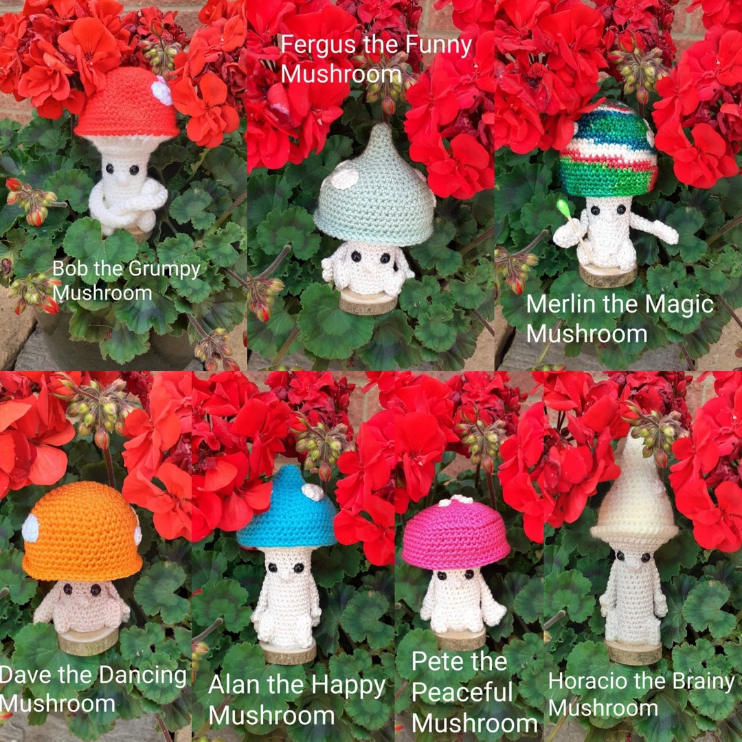 The Fun Guy Mushroom Made to Order - Etsy
