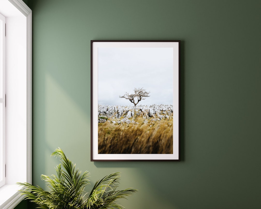 THE LONE TREE - Print, Framed, Canvas - Yorkshire Dales Landscape ...
