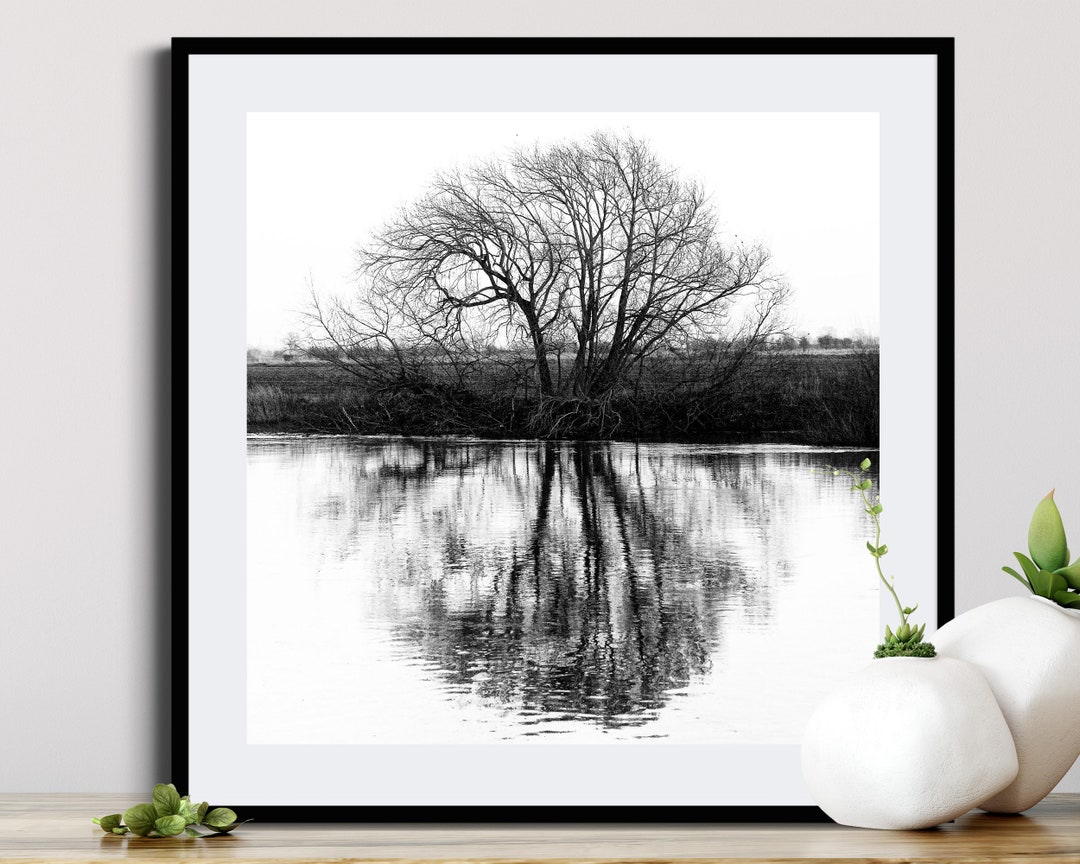 REFLECTIONS - Mimimal Black and White Tree Photo, Square Wall Art, Tree ...