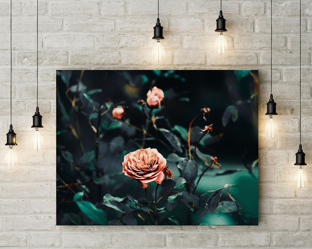 PEACH ROSE Print, Framed, Canvas Abstract Green Botanical Nature Photo ...