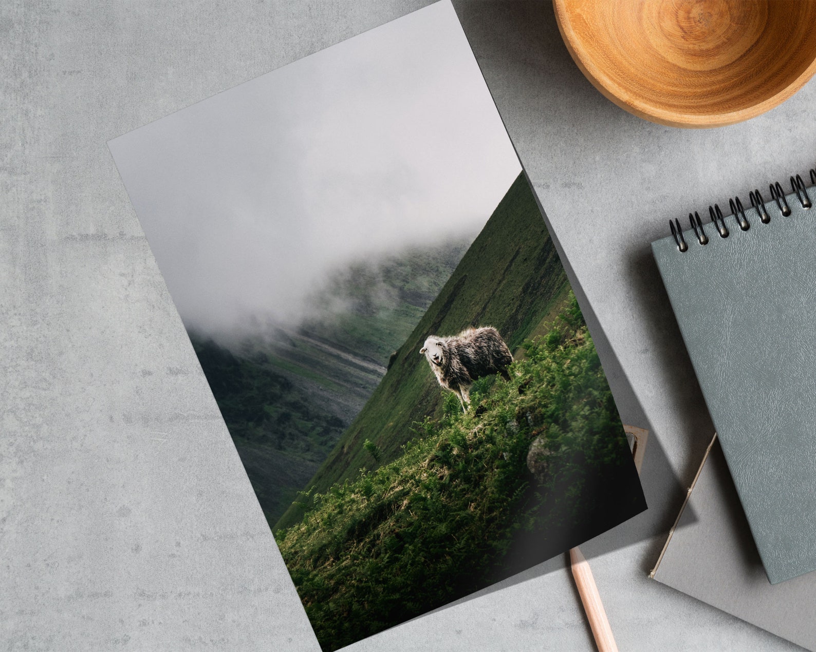 Shouting Sheep Print Lake District Mountain Landscape Photo | Etsy