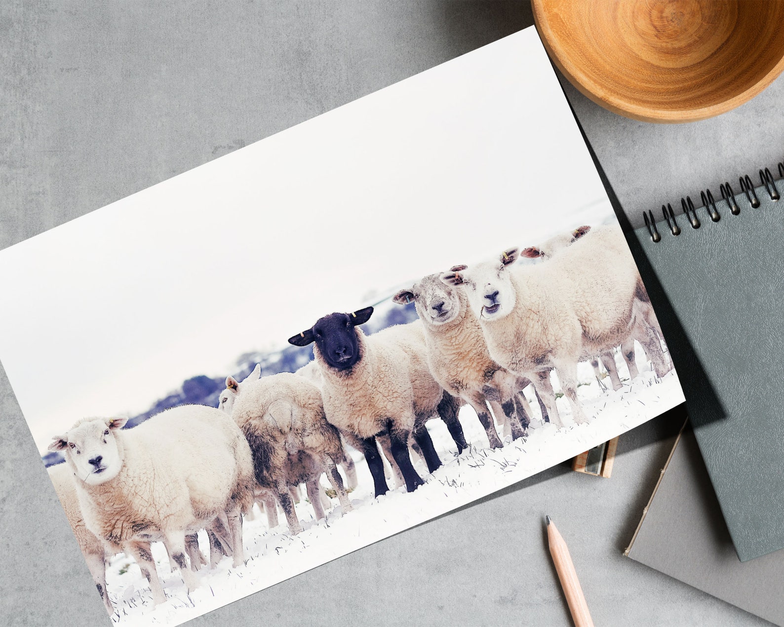 BLACK SHEEP PRINT Original Landscape Photo Printed on Museum | Etsy