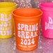 SPRING BREAK 2025 Groovy Cups for Girls Trip | Beach Vacation, Just ...