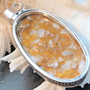 LARGE 2 5/8" Natural Fossilized Palm Root Pendant Oval .925 Sterling ...