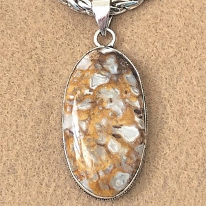 LARGE 2 5/8" Natural Fossilized Palm Root Pendant Oval .925 Sterling ...