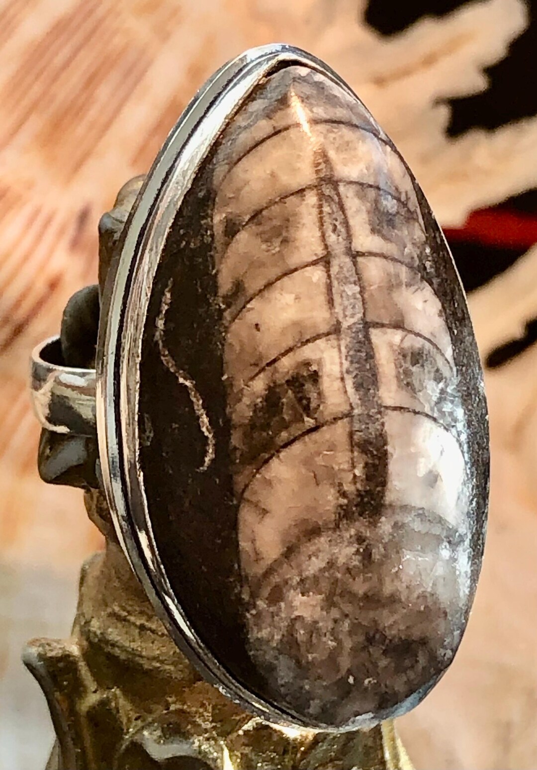 LARGE 1 3/8" Orthoceras Fossil Ring Teardrop Unisex 925 Sterling Silver ...
