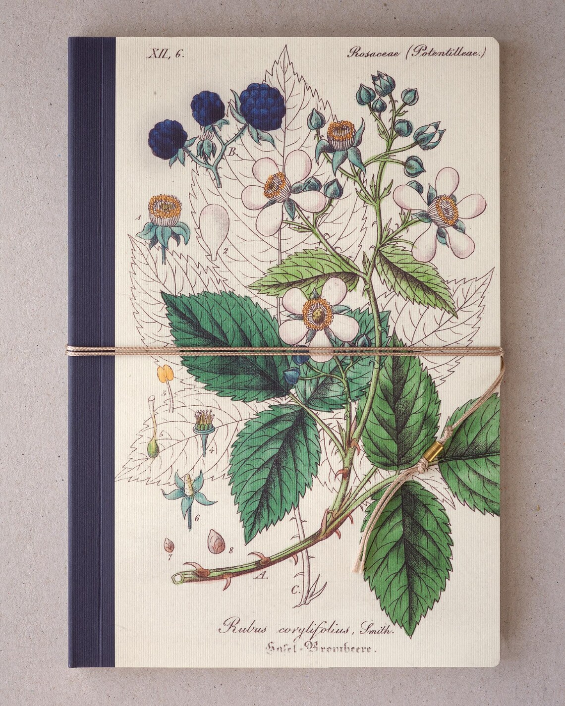 Notebook, Sketchbook Blackberry, Bramble, Thimbleberry - Etsy