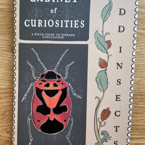 Curiosities - Etsy