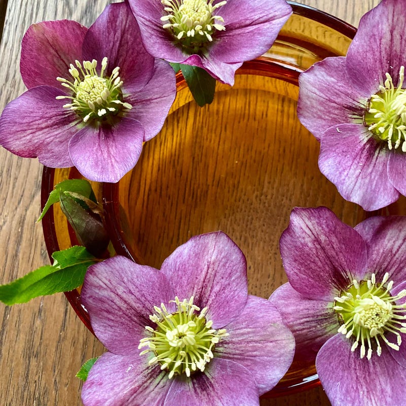 Posy Ring Vase - Etsy