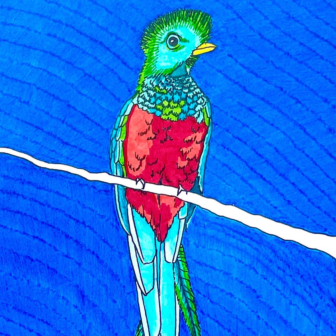Quetzal (2020) | Original Pen & Ink on Paper Drawing by Robert Bohan - Etsy