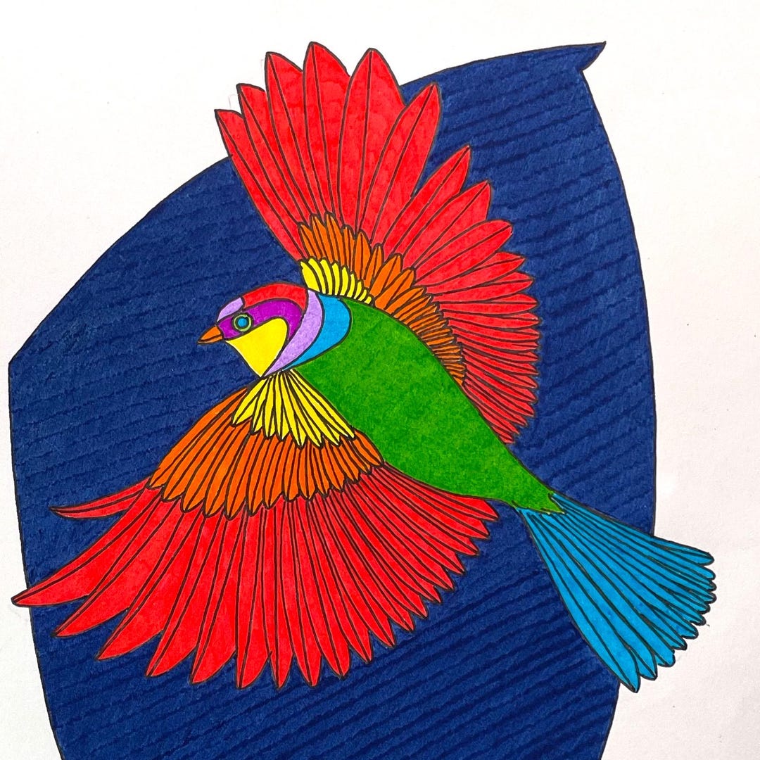 Rainbow Sparrow (2022) | Original Ink on Paper Drawing by Robert Bohan ...