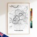 Tarawera Print - Contour Map - Topographic Map - Print - Poster - Wall ...