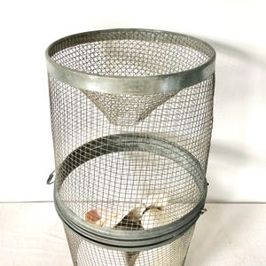 Vintage Minnow Basket Killie Fish Trap Basket Repurpose Fishing Basket ...