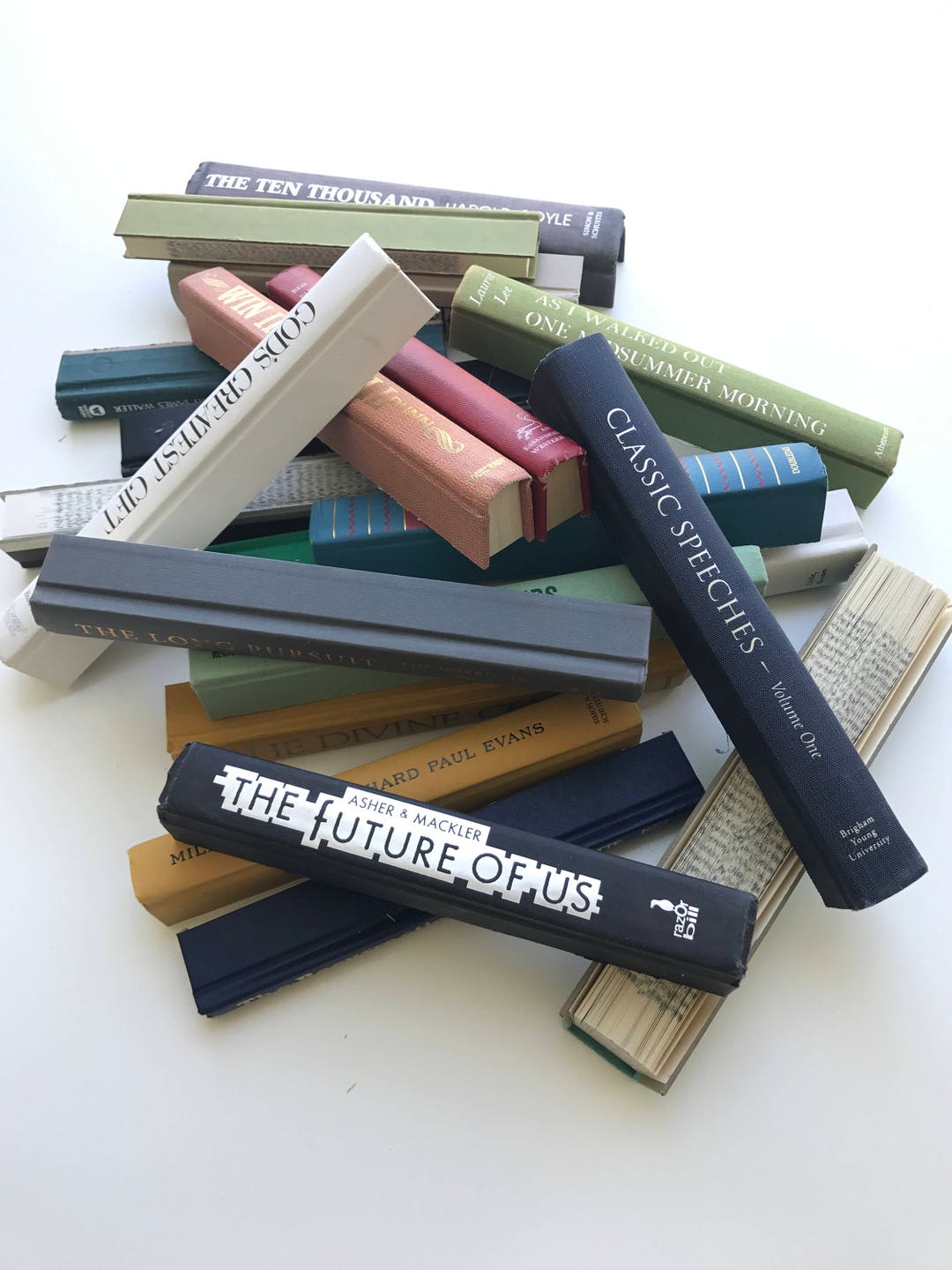 Trimmed Book Spines (loose) | DIY Secret Door Books | Made With Real ...