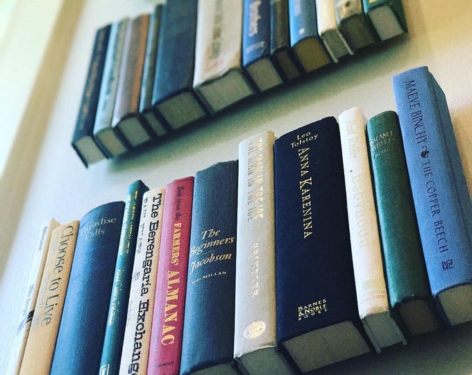 Secret Door Books™ Trimmed Book Spines wood Panel DIY Custom Wall Art ...