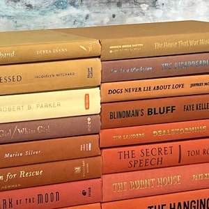 Hidden Storage Secret Compartment Book Stack | Hide Electronics, Wall ...