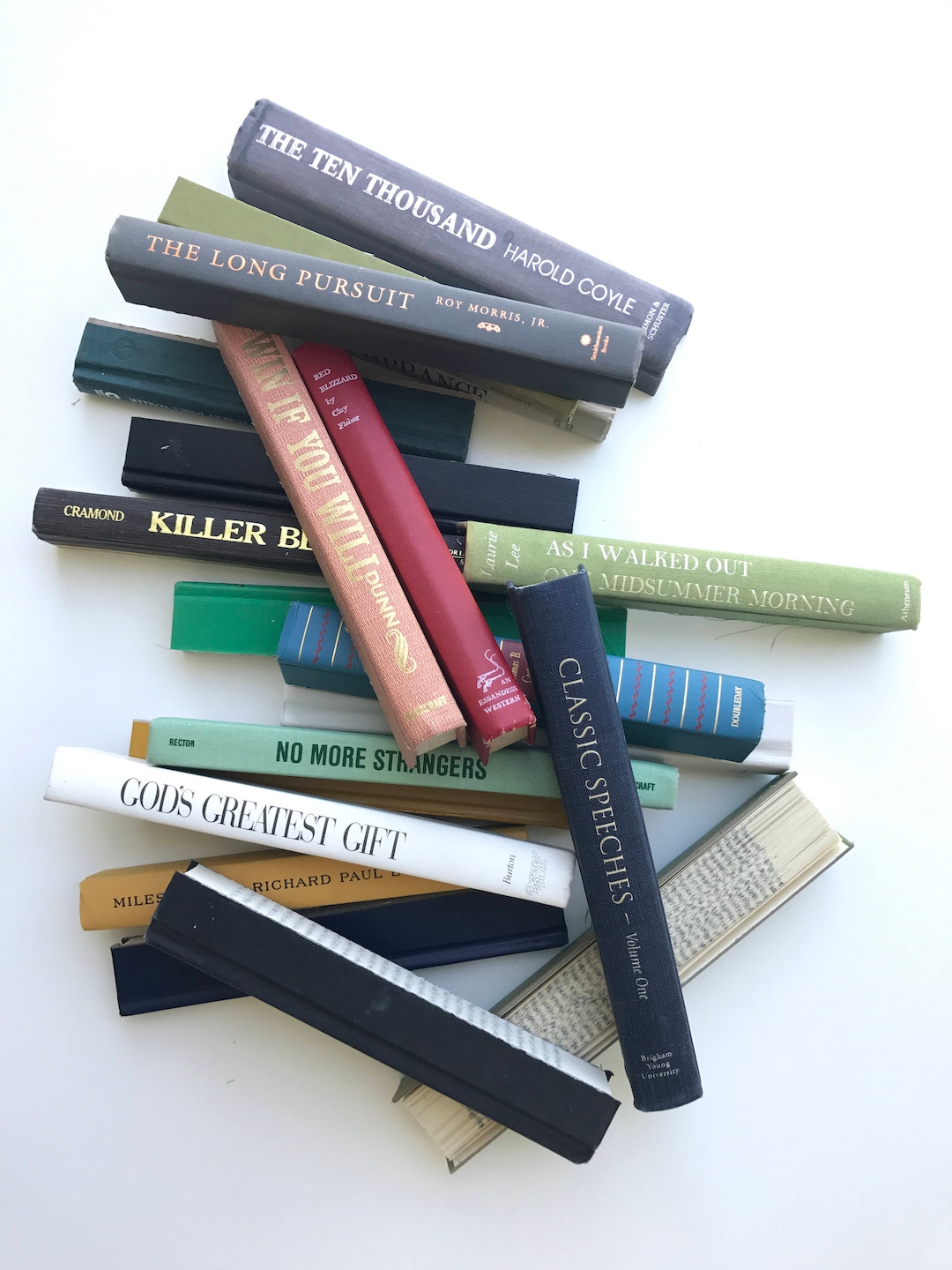 Trimmed Book Spines loose DIY Secret Door Books Made - Etsy