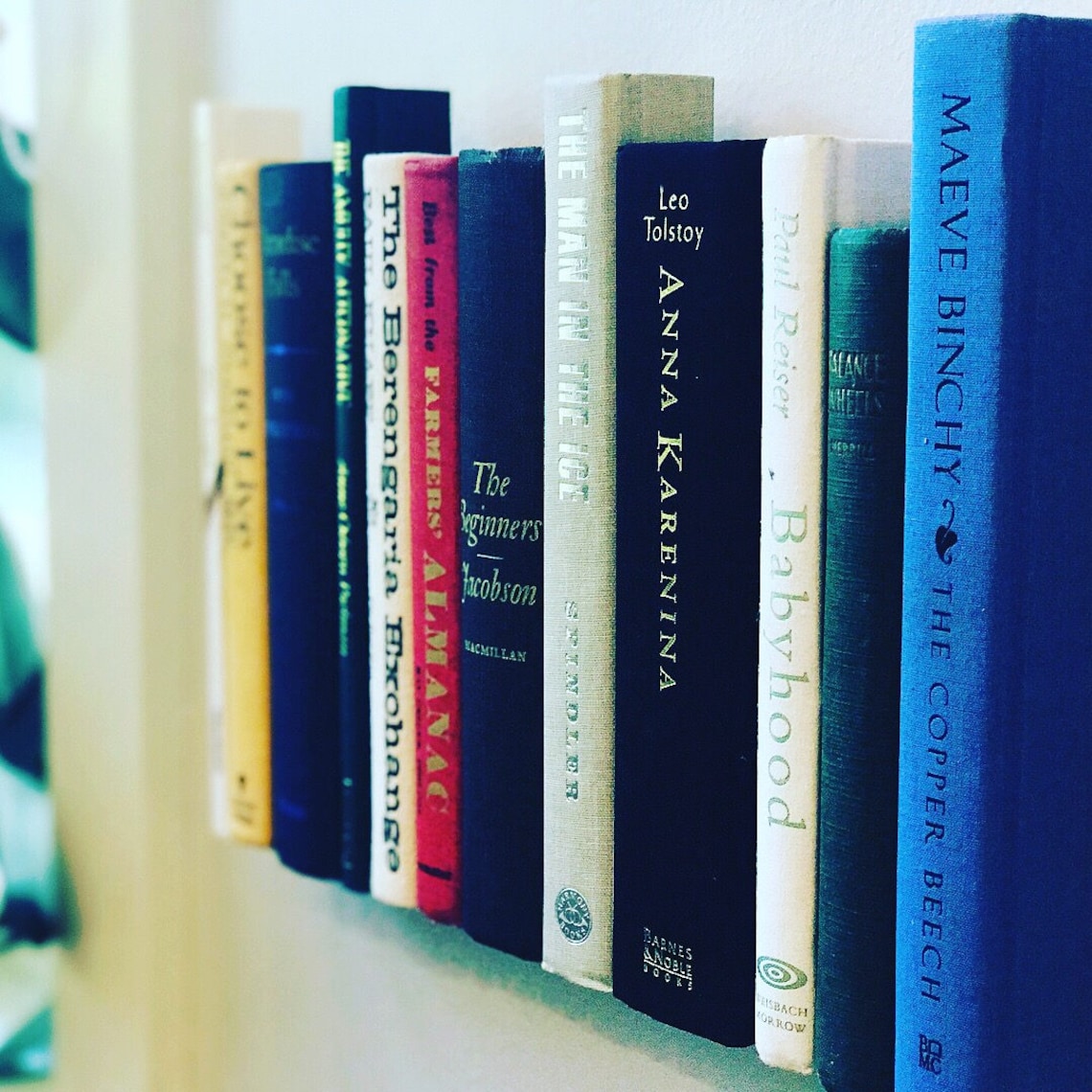 Secret Door Books Trimmed Book Spines™ wood Panel DIY - Etsy