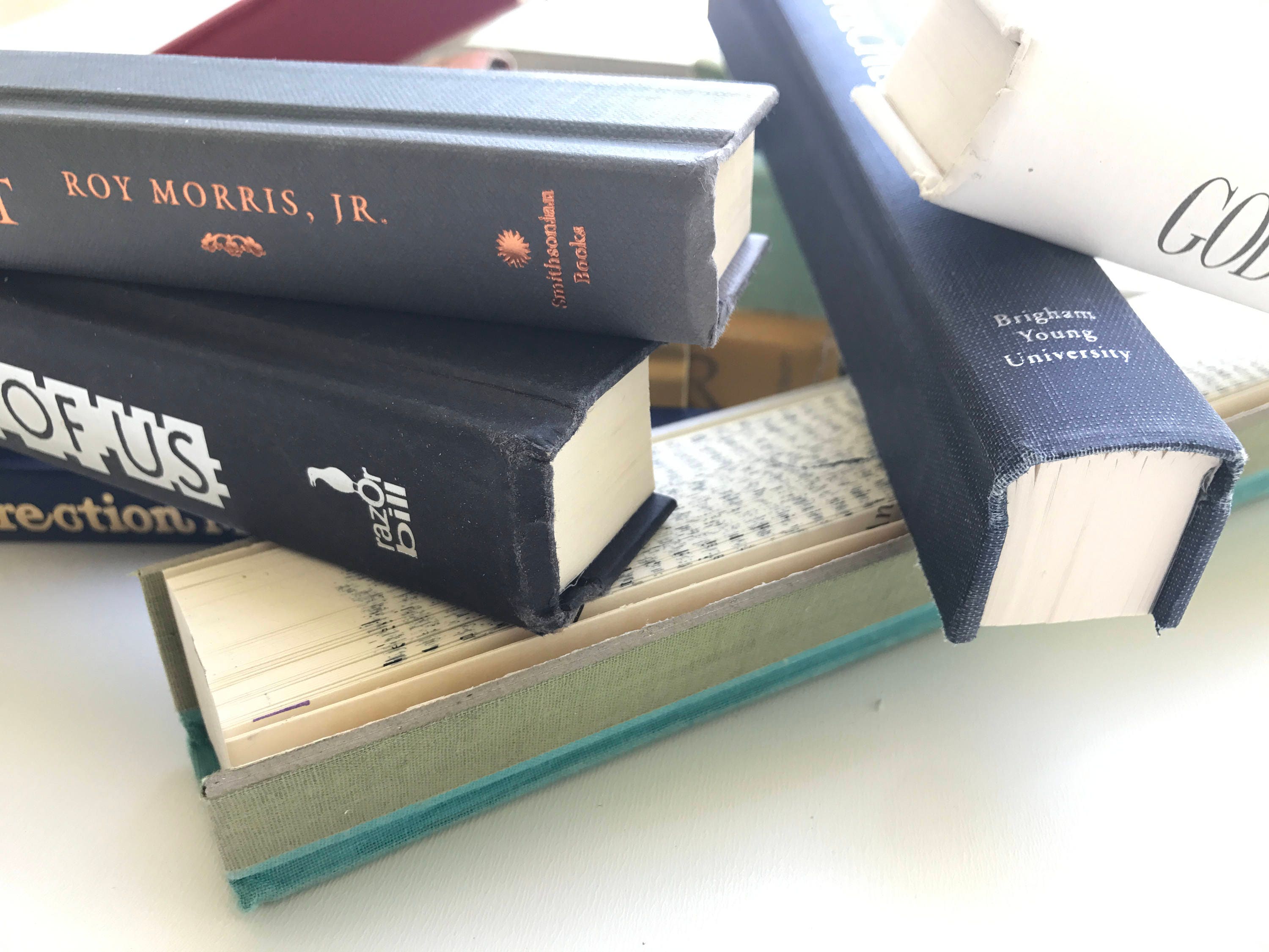 Trimmed Book Spines (loose) | DIY Secret Door Books | Made With Real ...
