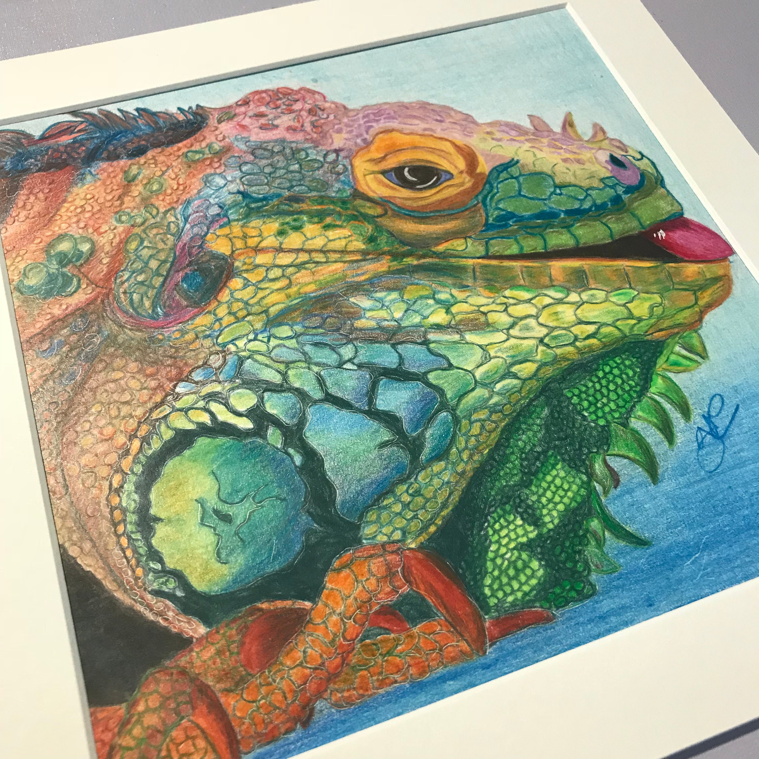 Lizard coloured pencil drawing on Bristol board. | Etsy