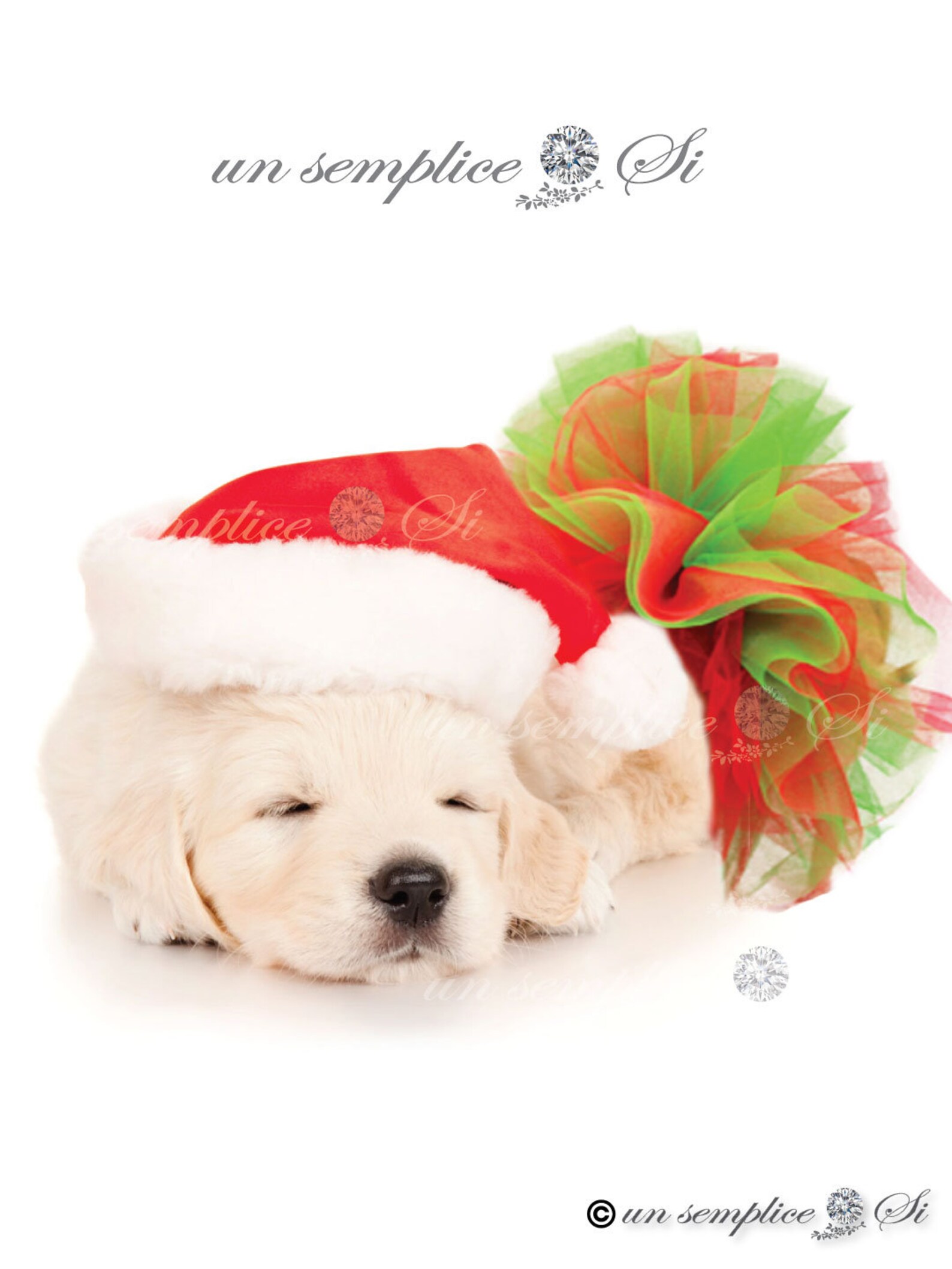 Tulle Dog Tutu , Puppy Tutu, Dog Wedding Tutu, Pet Tulle Skirt - Etsy ...