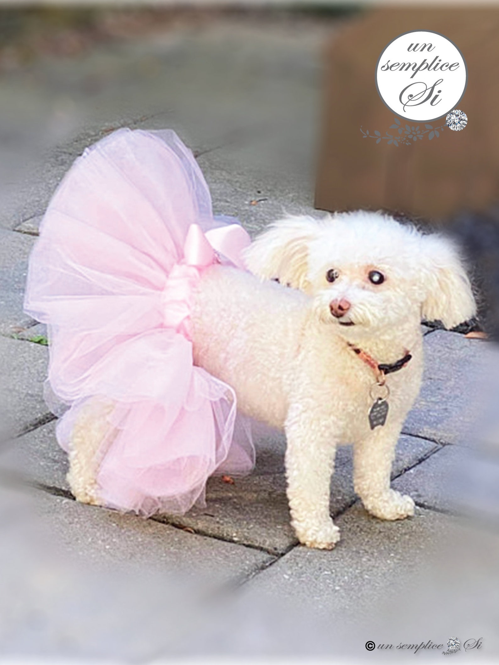 Tulle Dog Tutu , Puppy Tutu, Dog Wedding Tutu, Pet Tulle Skirt - Etsy ...