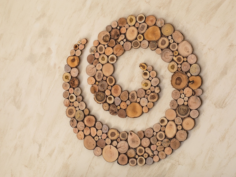 Wood Slice Spiral Spiral Wall Art Spiral Wall Sculpture - Etsy