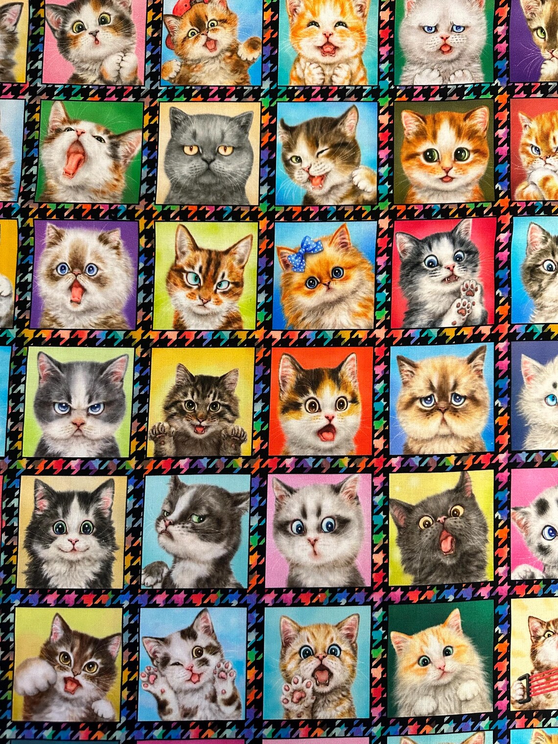 NEW! Half Yard - Instafamous Cat Blocks Squares Patches by Studioe ...